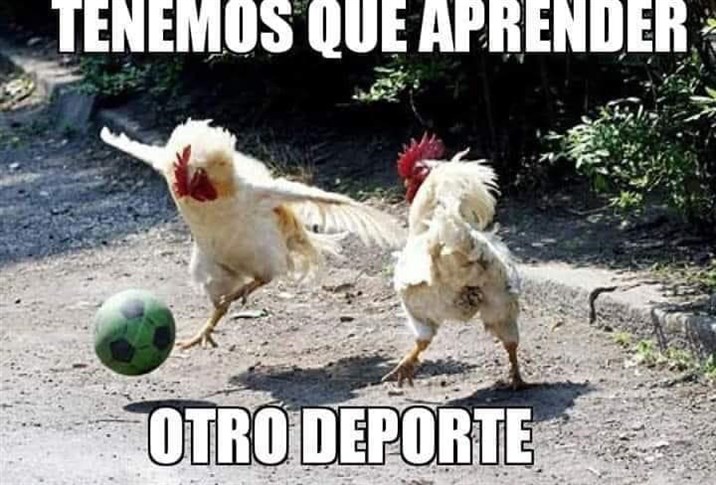 Los memes de la controversia sobre las peleas de gallos