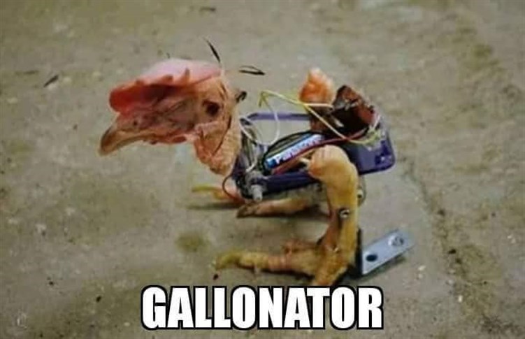 Los memes de la controversia sobre las peleas de gallos