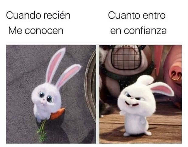 Los mejores memes de la semana